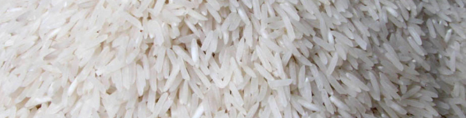 Rice - E TRADE DISTRIBUTORS, INC.