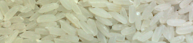 Rice - E TRADE DISTRIBUTORS, INC.